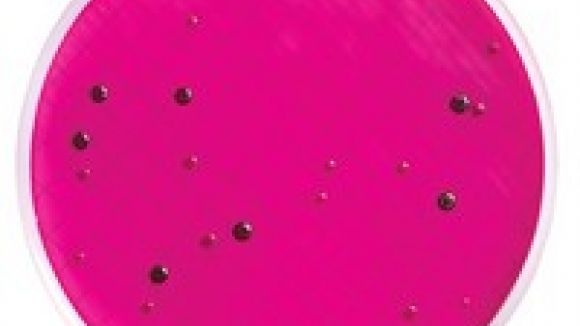 Liofilchem | Nazar Tıp Ltd. Şti.