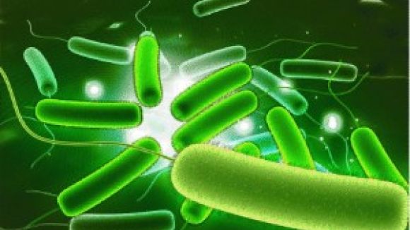 Microgen | Nazar Tıp Ltd. Şti.