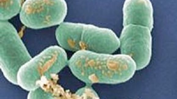 Microgen | Nazar Tıp Ltd. Şti.