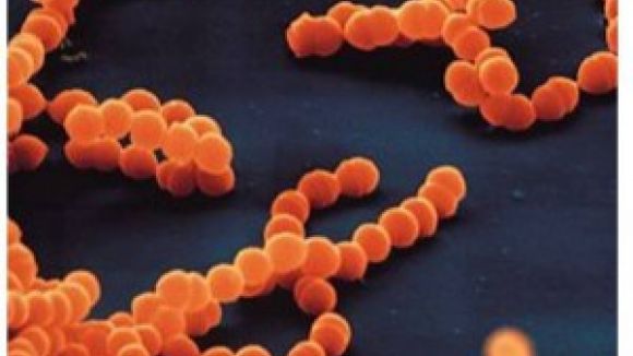 Microgen | Nazar Tıp Ltd. Şti.