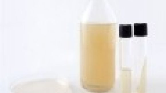 Liofilchem | Nazar Tıp Ltd. Şti.