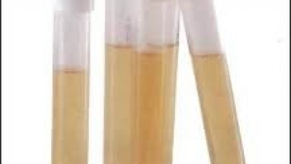 Liofilchem | Nazar Tıp Ltd. Şti.